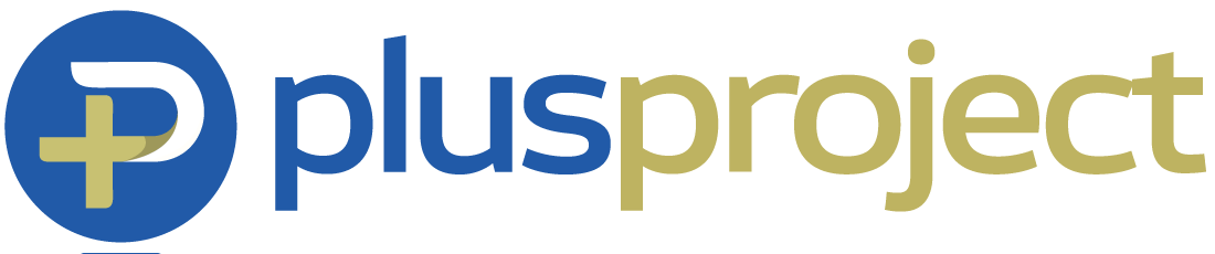 Plus-Project: A Biostatistics Clinical Research Organisation