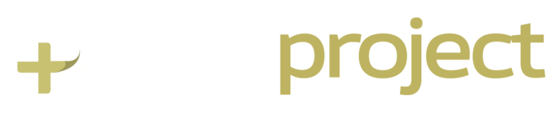 Plus-Project: A Biostatistics Clinical Research Organisation